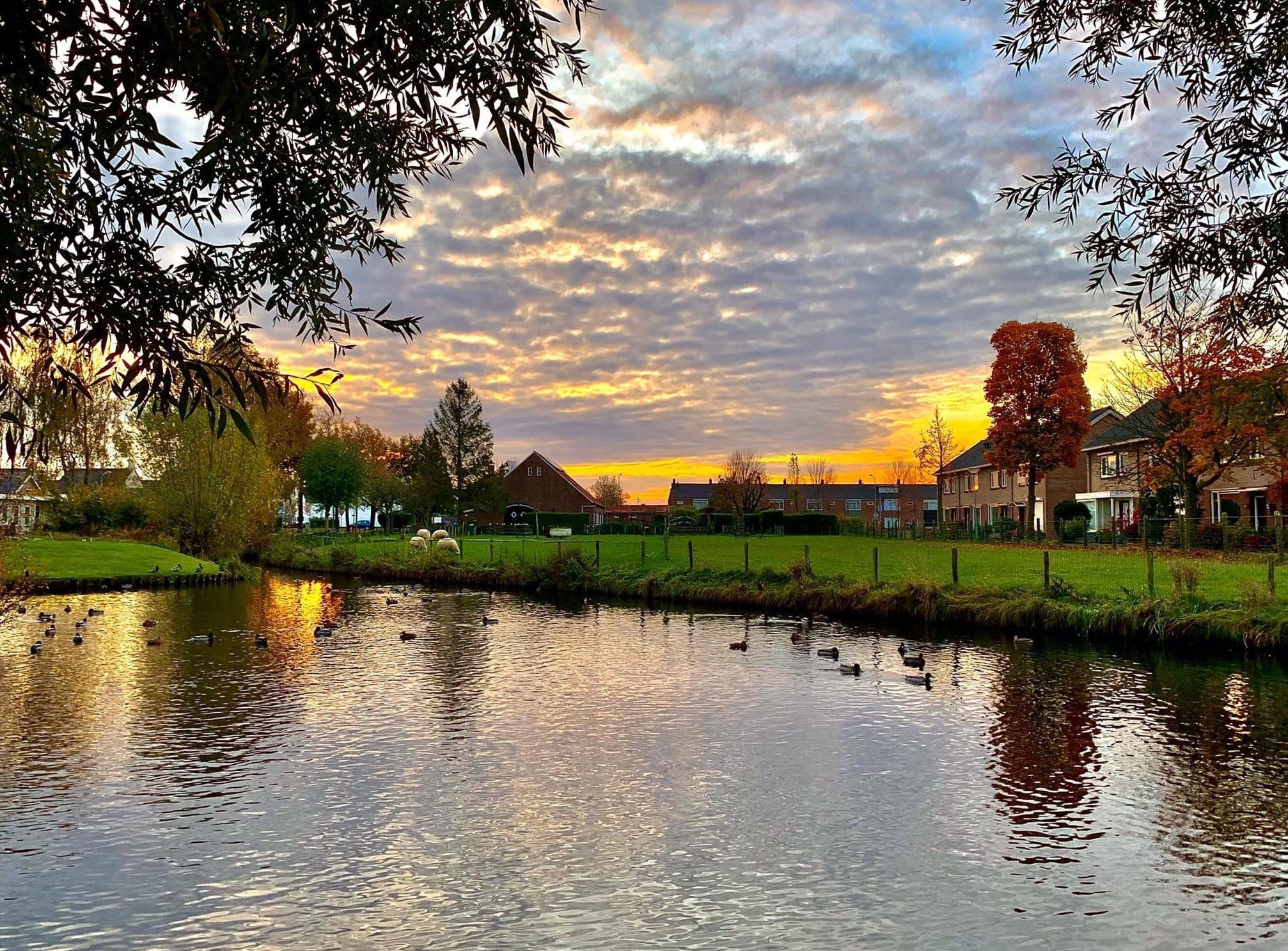 Fijnaart in beeld en geluid gevangen - Fijnaart Lokaal